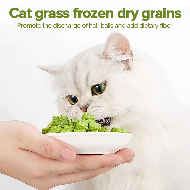 Freeze-Dried Cat Grass Granules Cat Food Granules Promote The Excretion ...