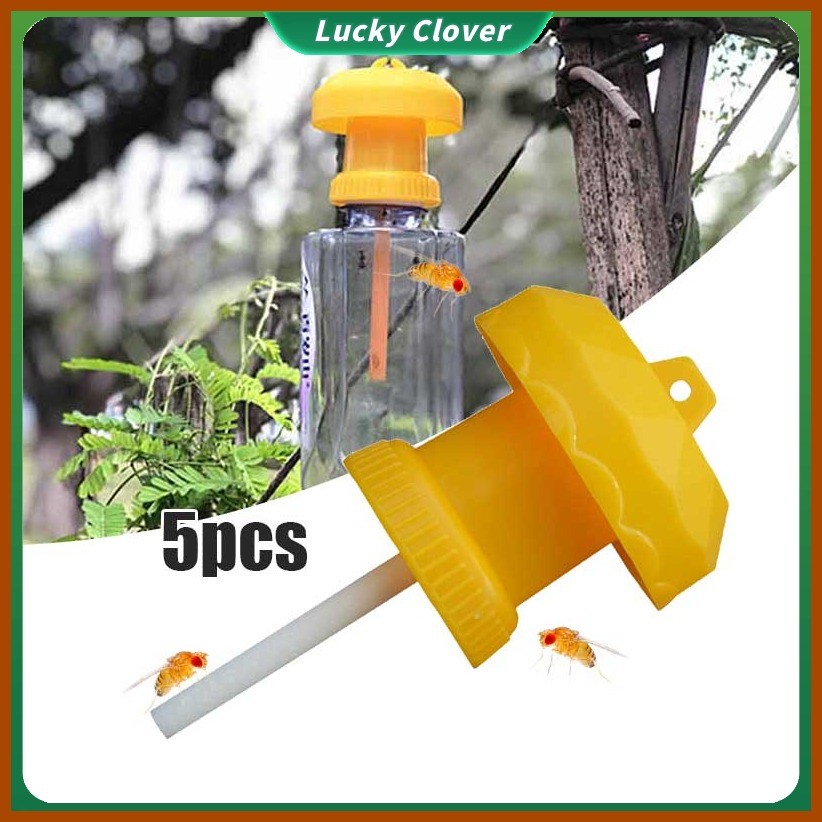 5Pcs Fruit Fly Trap Cap Fruit Fly Trap Killer Plastic Drosophila Trap ...