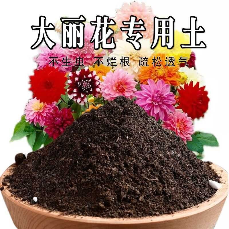 Dahlia tiyak na nutrient Potting Flower cultivation lupa Universal ...