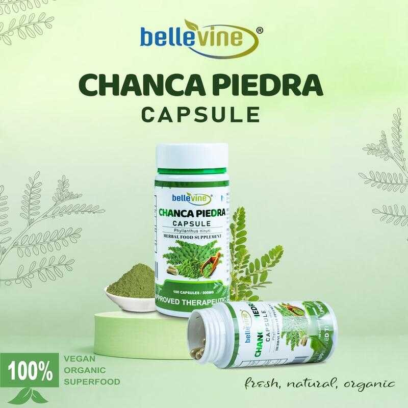 Chanca Piedra Herbal Supplement Capsule - 500Mg X 100 Capsules (Fda Approved) | Shopee Philippines