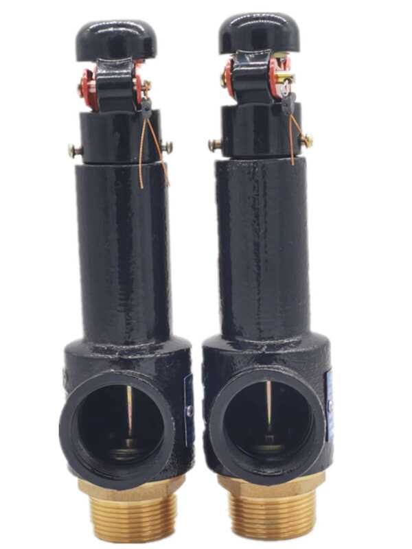 Spring-Loaded Safety Inspection Report for Gas Storage Tank Steam ...