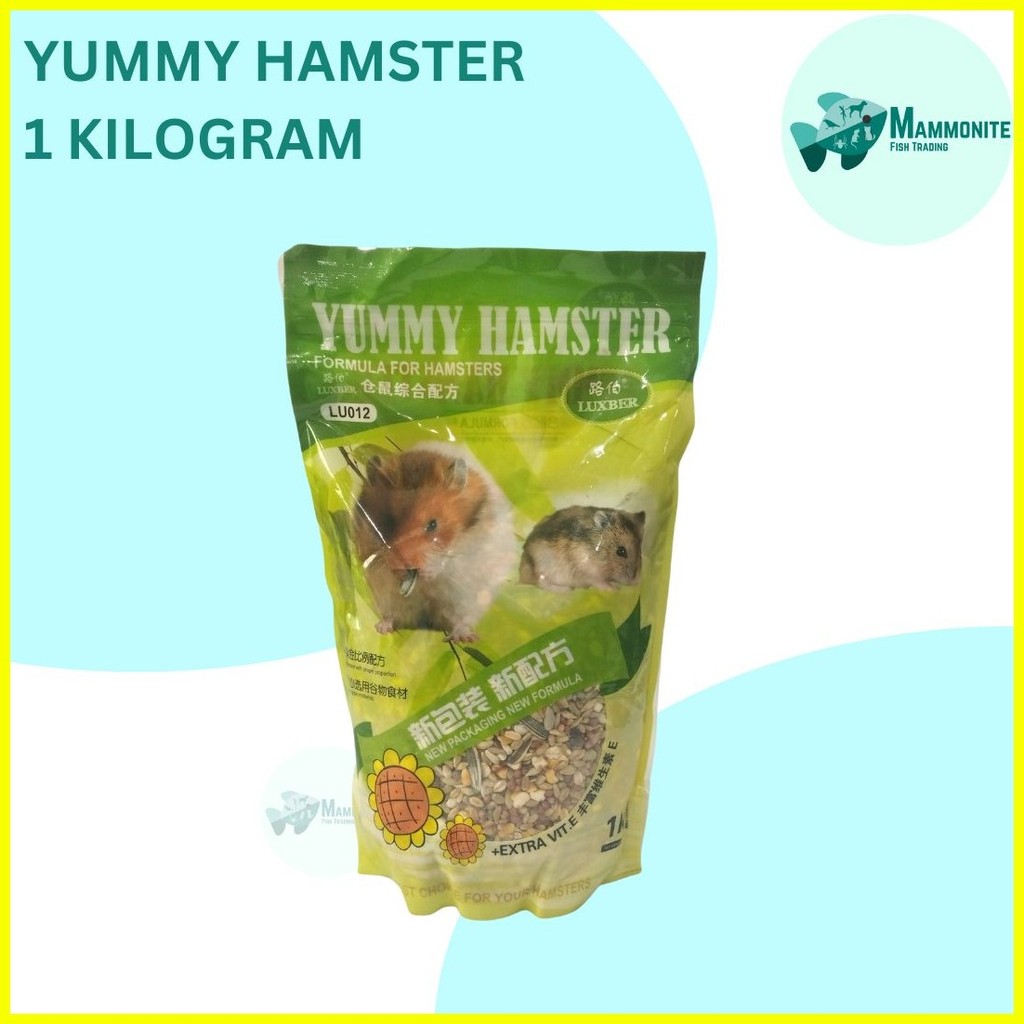 Hamster Food Pet Hamster Yummy Food Mix Yummy Hamster Food with ...