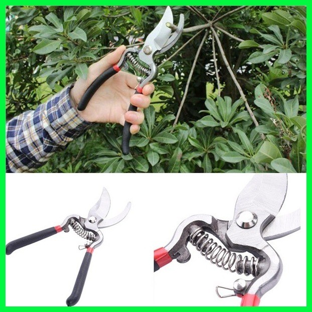 ۞ Pruning Shears Cutter Home Gardening Plant Scissor Hand Tool | Shopee ...