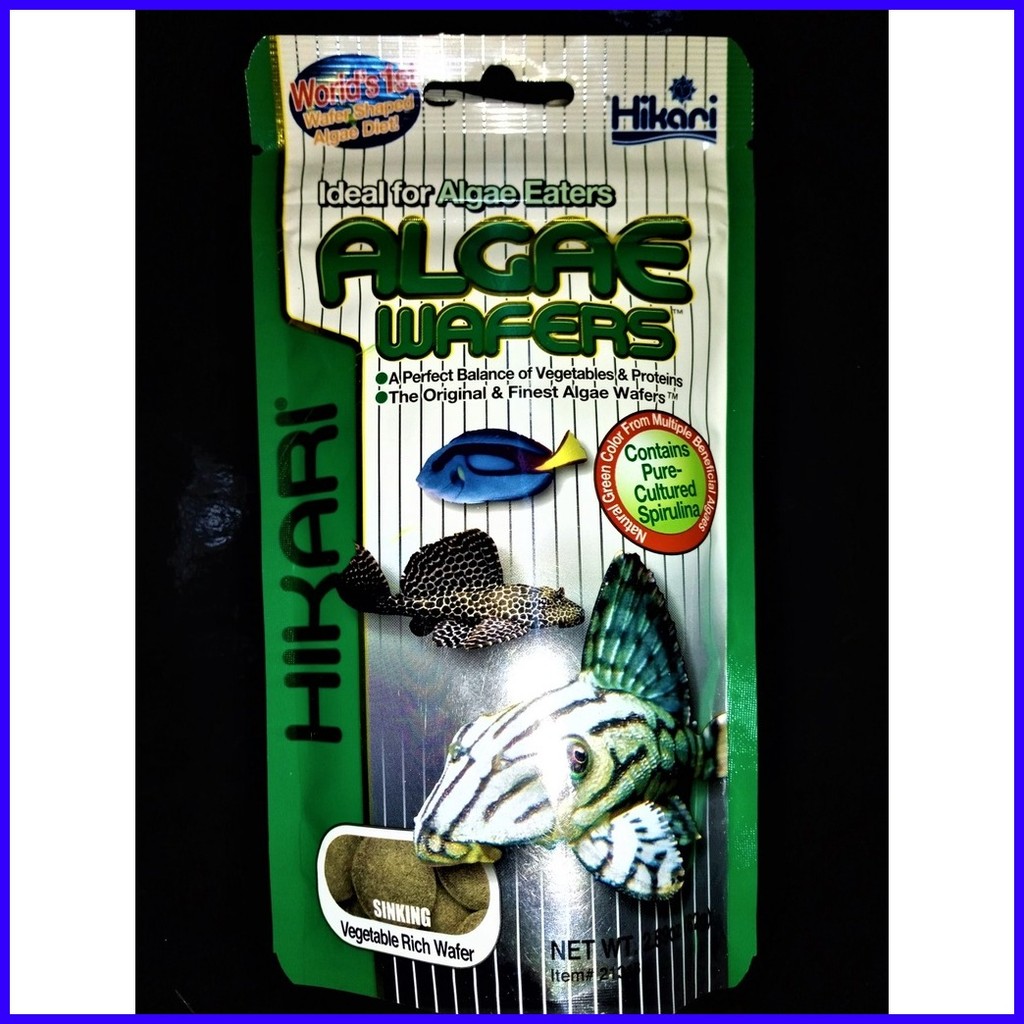 Hikari Micro Wafers 20g / Micro Pellet 22g / Algae Wafers 82g / Mini ...