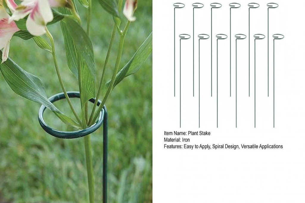 YX Plant Support Stake High-quality Garden Stake 12 Pcs Spiral Tomato ...