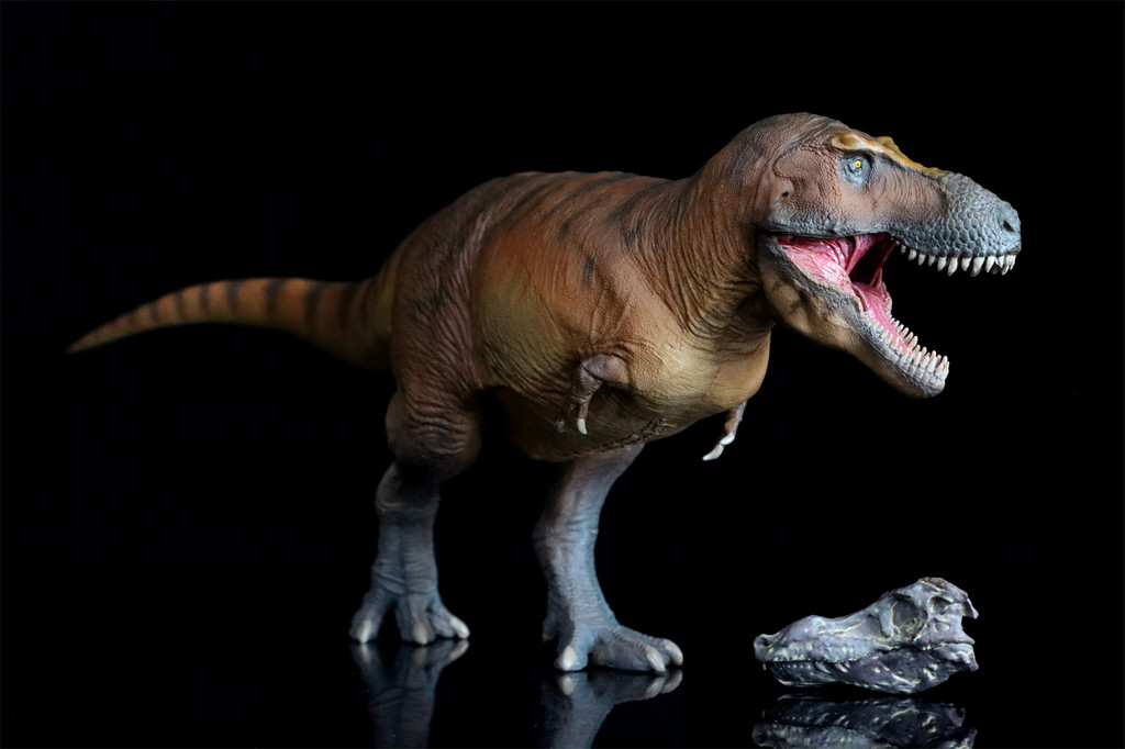 PNSO 1/35 Tyrannosaurus Rex Cameron Model Prehistoric Animal Museum ...