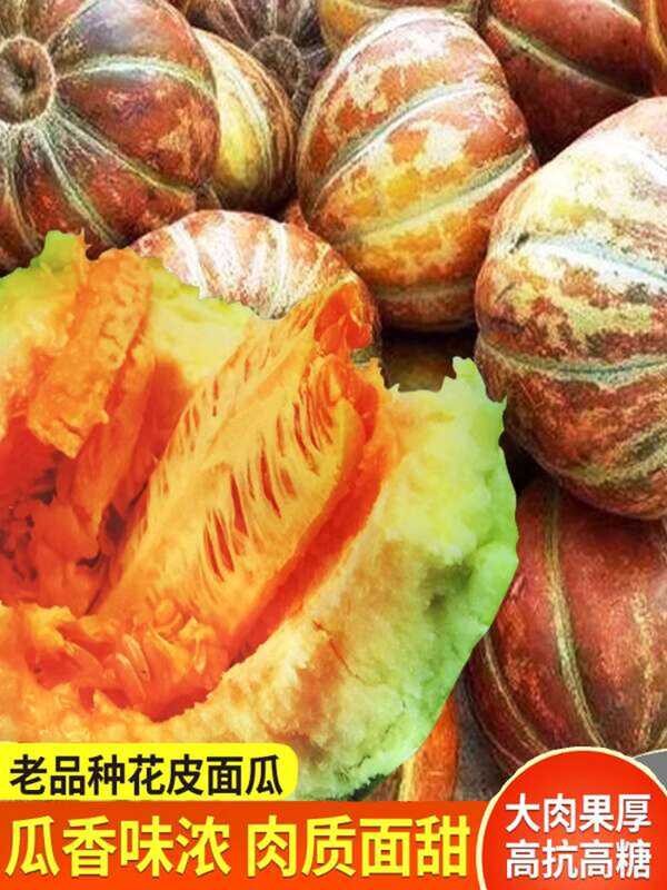 Yellow Skin Melon Seeds Old Variety Flower Skin Melon Seeds Outdoor ...