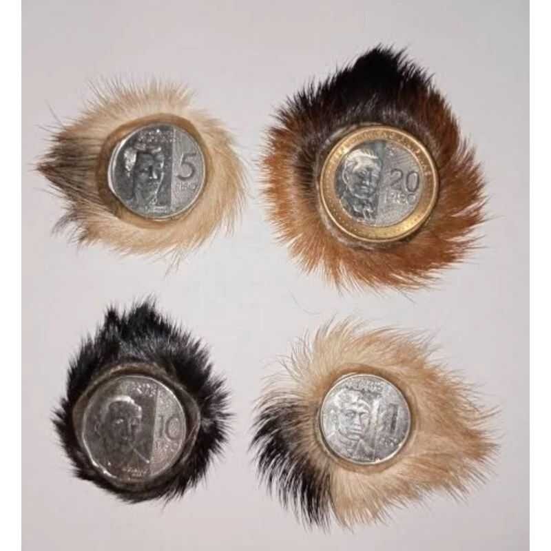 Original Pilikmata Ng Kambing O Goat Eyelashes,An Pilipino Local ...