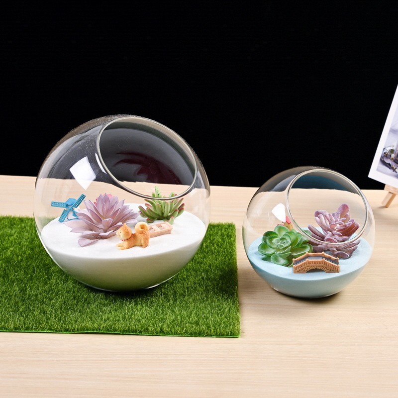 【ACT】Micro Landscape Glass Vase Succulent Plant Terrarium Container ...