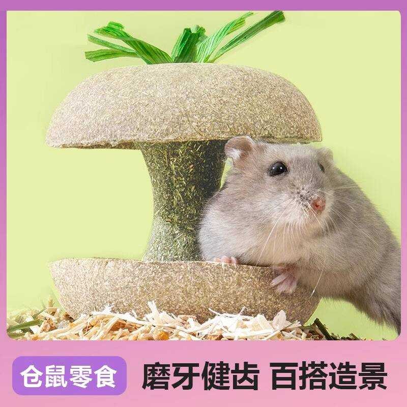 Hamster Food Apple Core Chew Stick Golden Hamster Boredom Relief ...