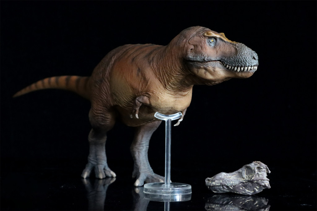 PNSO 1/35 Tyrannosaurus Rex Cameron Model Prehistoric Animal Museum ...