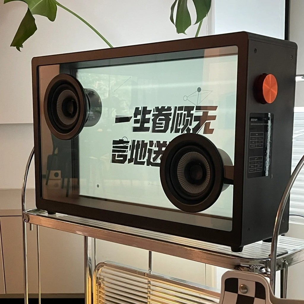 MORRORART Lyrics Transparent Visual Bluetooth Speaker Smart Computer ...