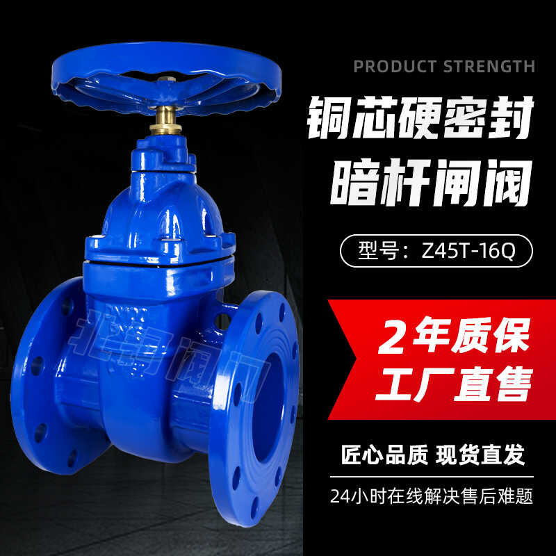 Flange Z45T-16Q Core Concealed Civil Air Defense Protection Copper Rod ...