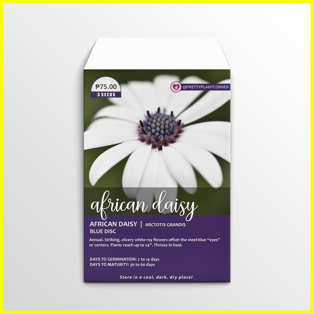 Blue Disc African Daisy Seeds | Shopee Philippines
