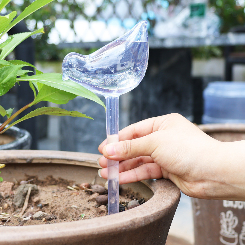 Self-flowing Potted Waterware - Automatic Fruit Dripper - Bird-shaped ...