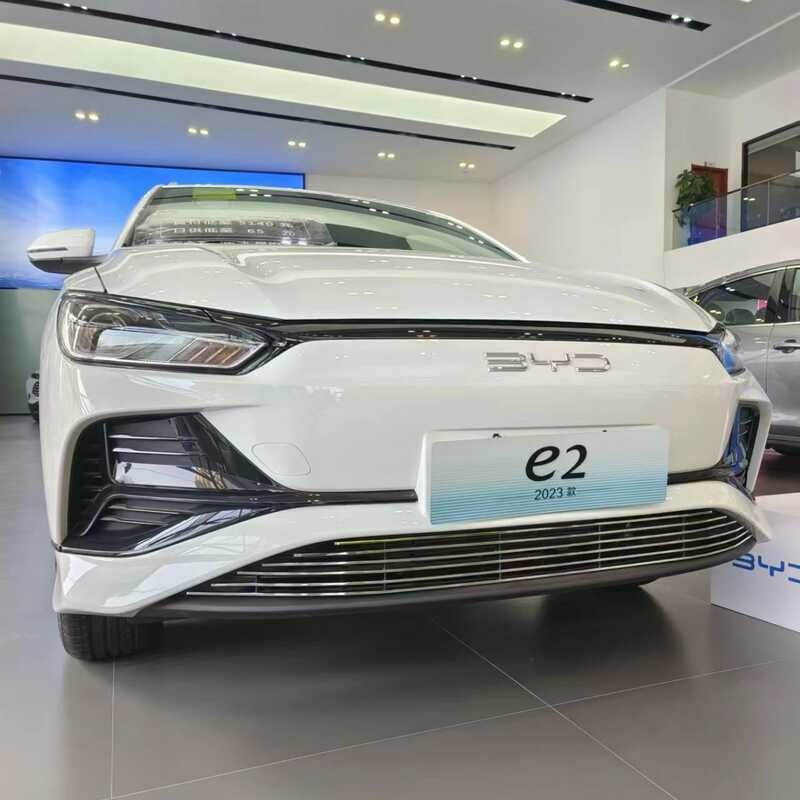 W 2023 GAC Aion Yplus Insect Proof Sa Harap Ng Palaka Hitsura Modifiion Accessories Espesyal Na ...