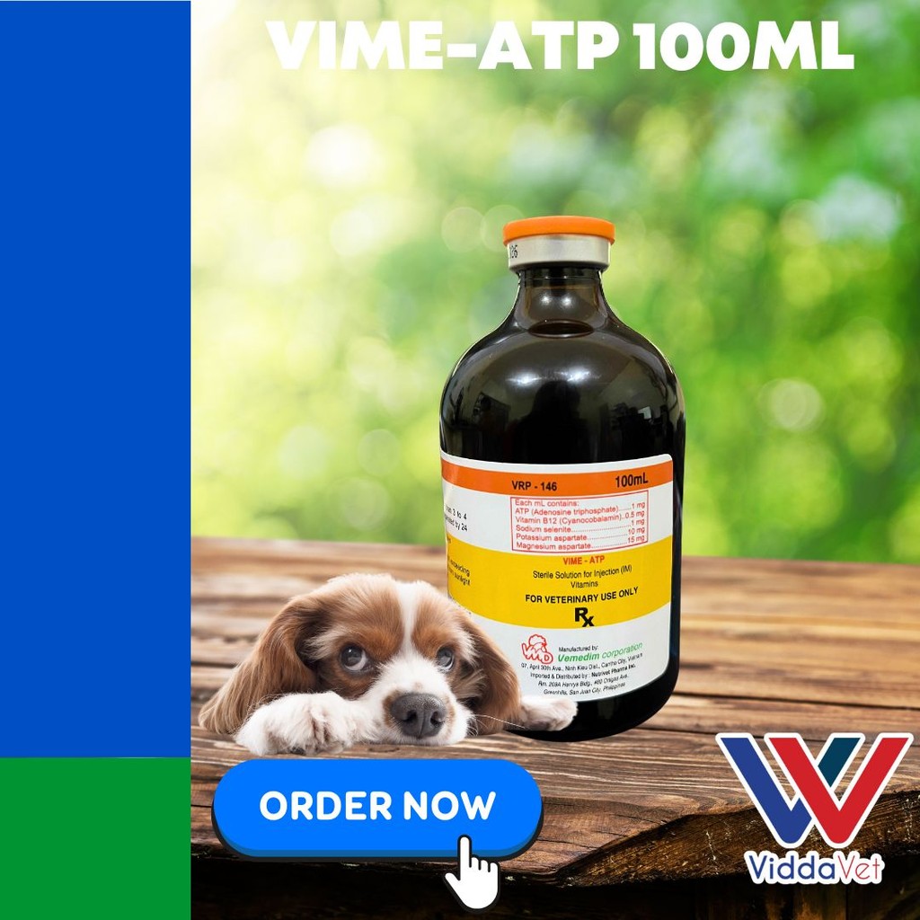 100ml Vime-ATP Treatment of muscle disorder and fatigue for pigs and ...
