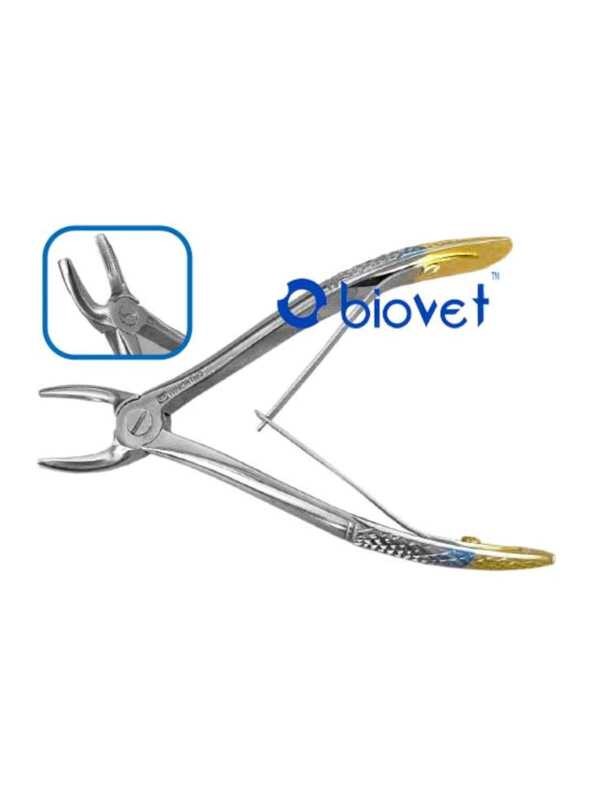 Pet Dental Root Extractor Forceps Dental Elevator Animal Cat Dog ...