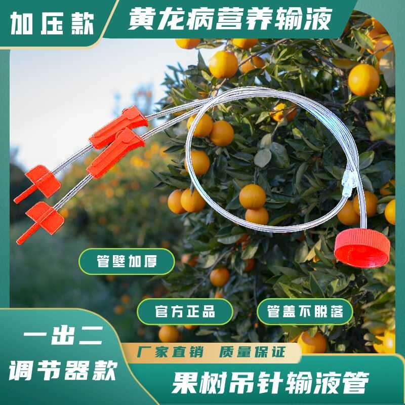 Fruit Tree Infusion Needle Huanglong Disease Capsule Tube Agricultural ...