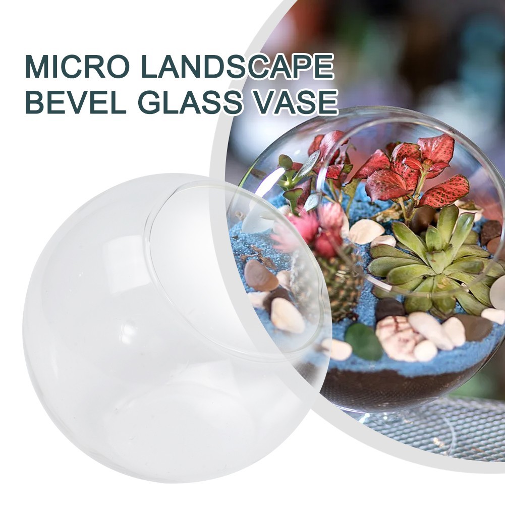 【ACT】Micro Landscape Glass Vase Succulent Plant Terrarium Container ...