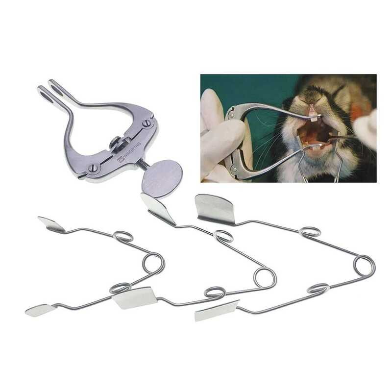 Professional Rodent Rat Rabbit Dental Dentistry Instrument Buccal Cheek ...