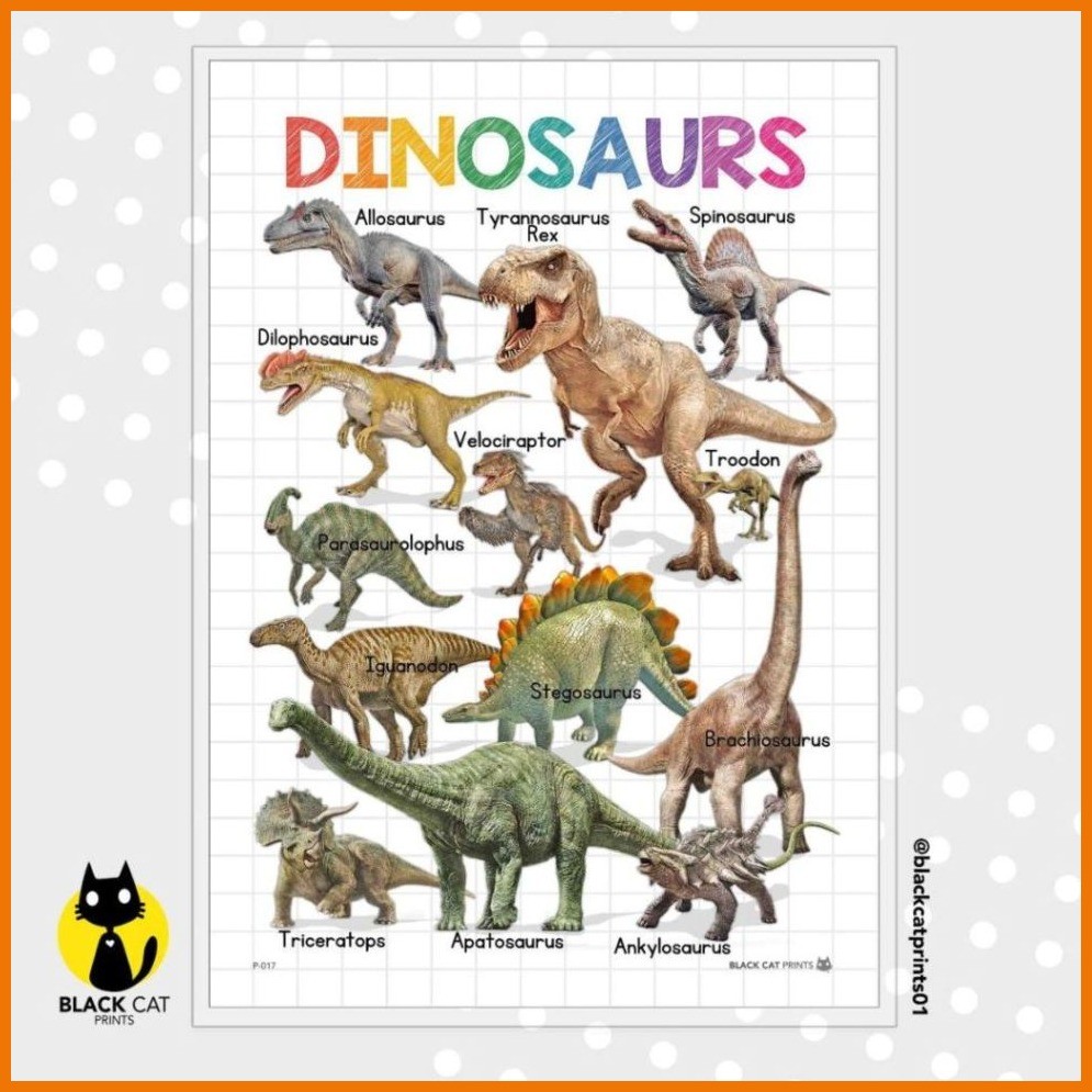 Dinosaurs Educational Chart Poster (High Quality Print / A4 Size ...
