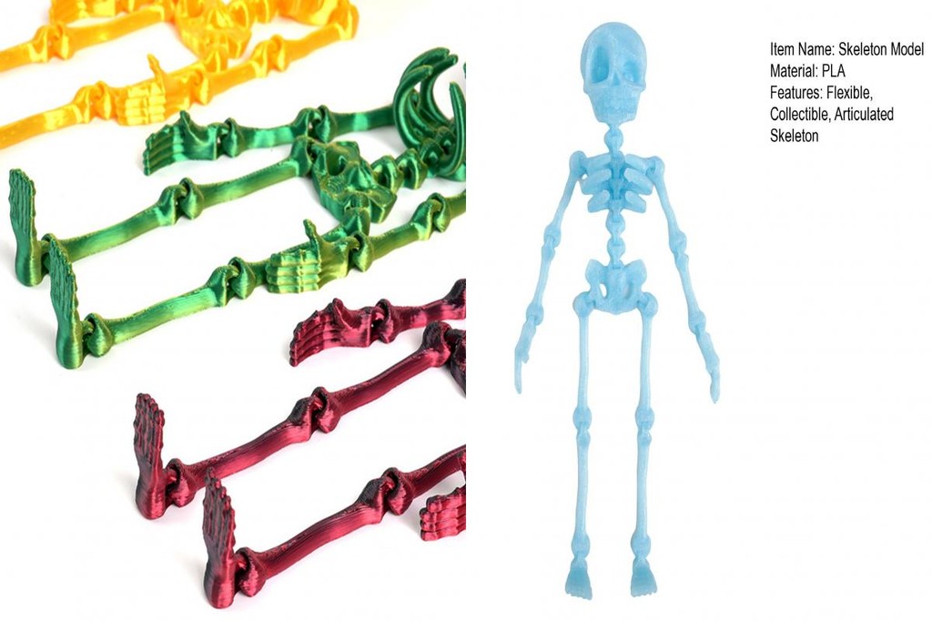 ag Bone Sculpture Skeleton Model Flexible Skeleton Fidget Toy for ...