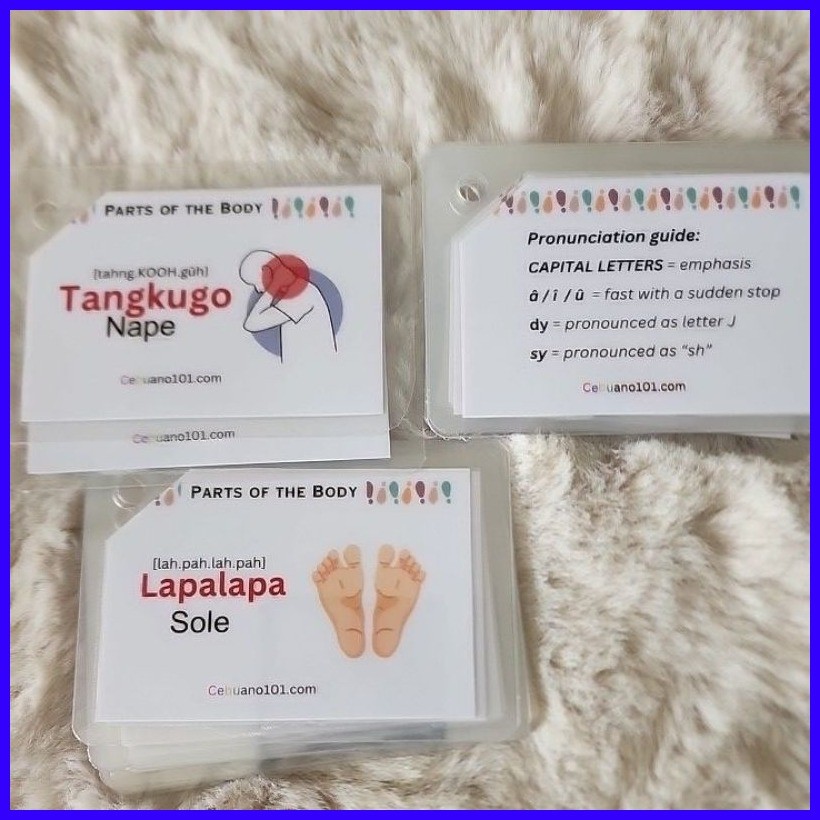 Parts of the Body Flashcards English-Bisaya | Shopee Philippines