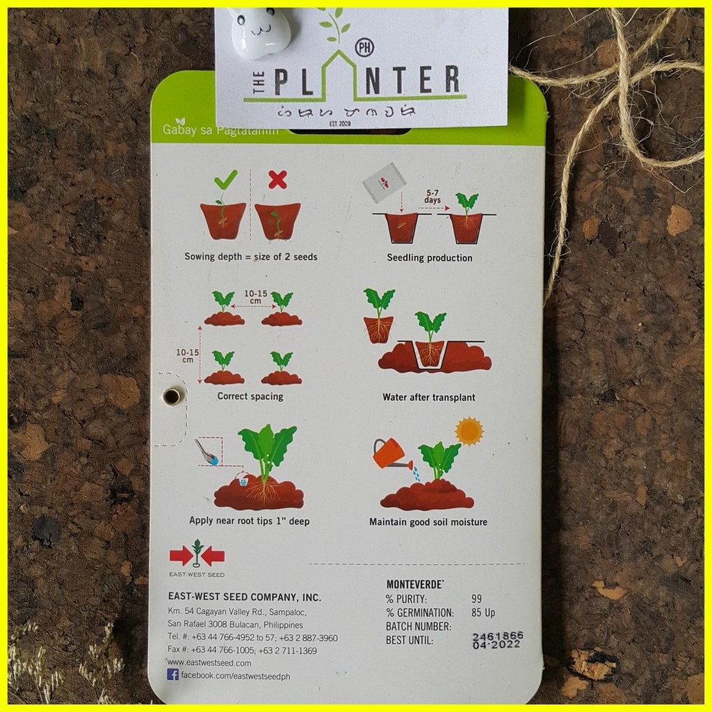 MONTEVERDE MUSTASA - EAST - WEST SEED (Original) | Shopee Philippines