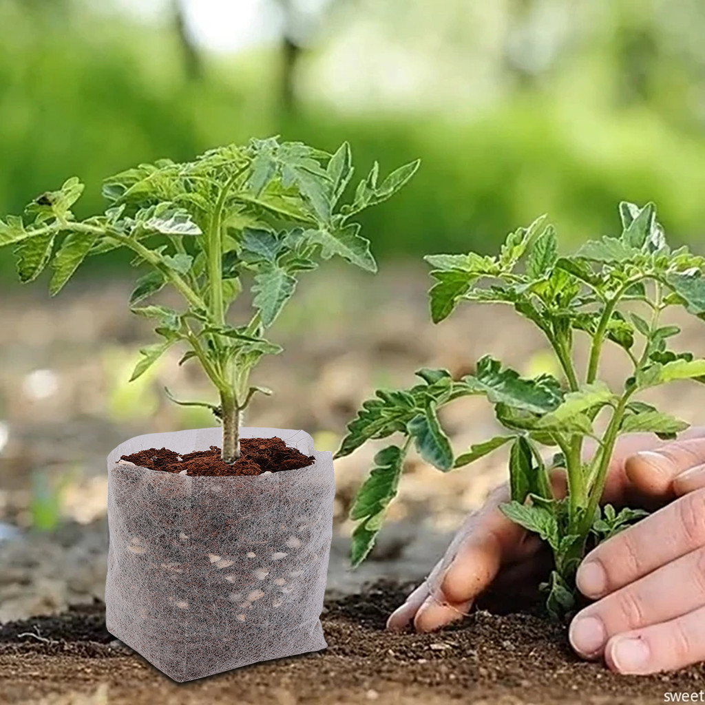 100Pcs Biodegradable Non-woven Seedling Bag - Breathable Durable ...