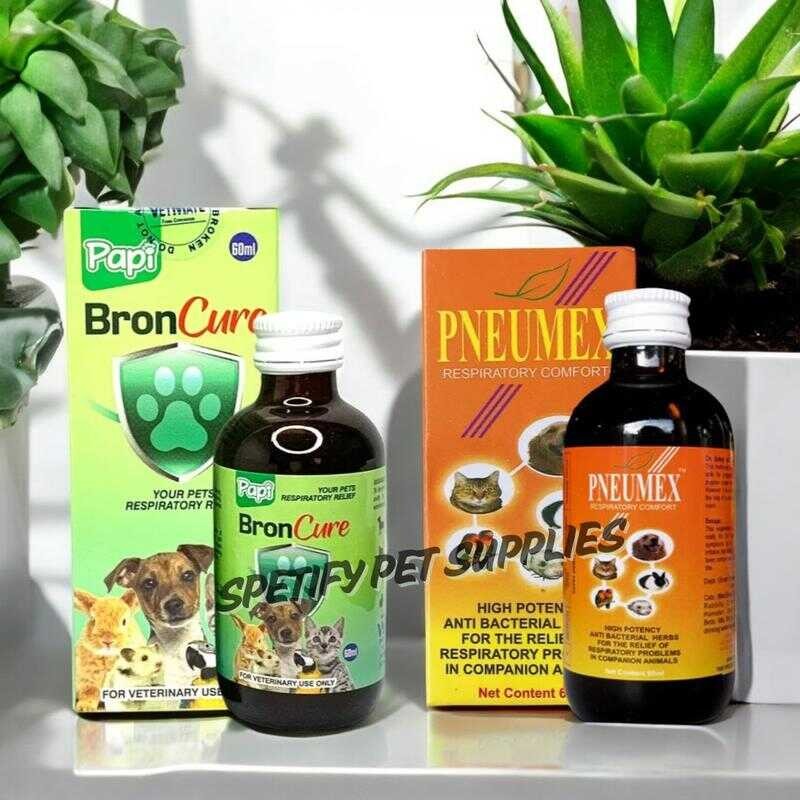 Broncure And Pneumex 60Ml Syrup Respiratory Comfort | Shopee Philippines