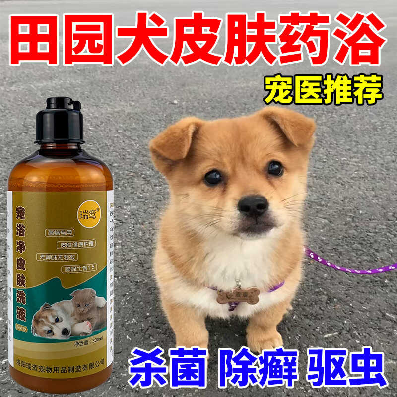 Dog Skin * Disease Herbal Bath For Fungal Infections, Ringworm ...