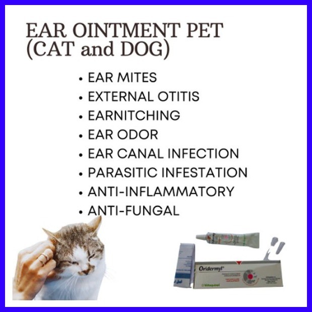 Oridermyl Cat and dog ear drops Mite removal ear mite odor otitis Ear ...