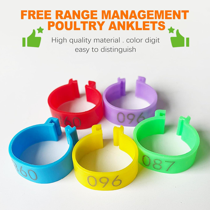10pcs Chicken Leg Rings With 6 Colors, Chicken Leg Bands Colorful ...