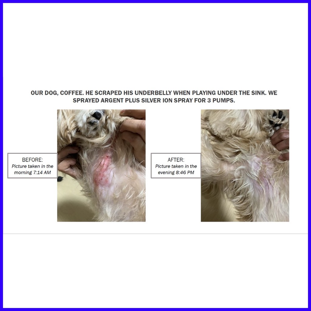 Argent Plus Nano Silver Spray For Wounds, Deodorizer, and Disinfectant ...