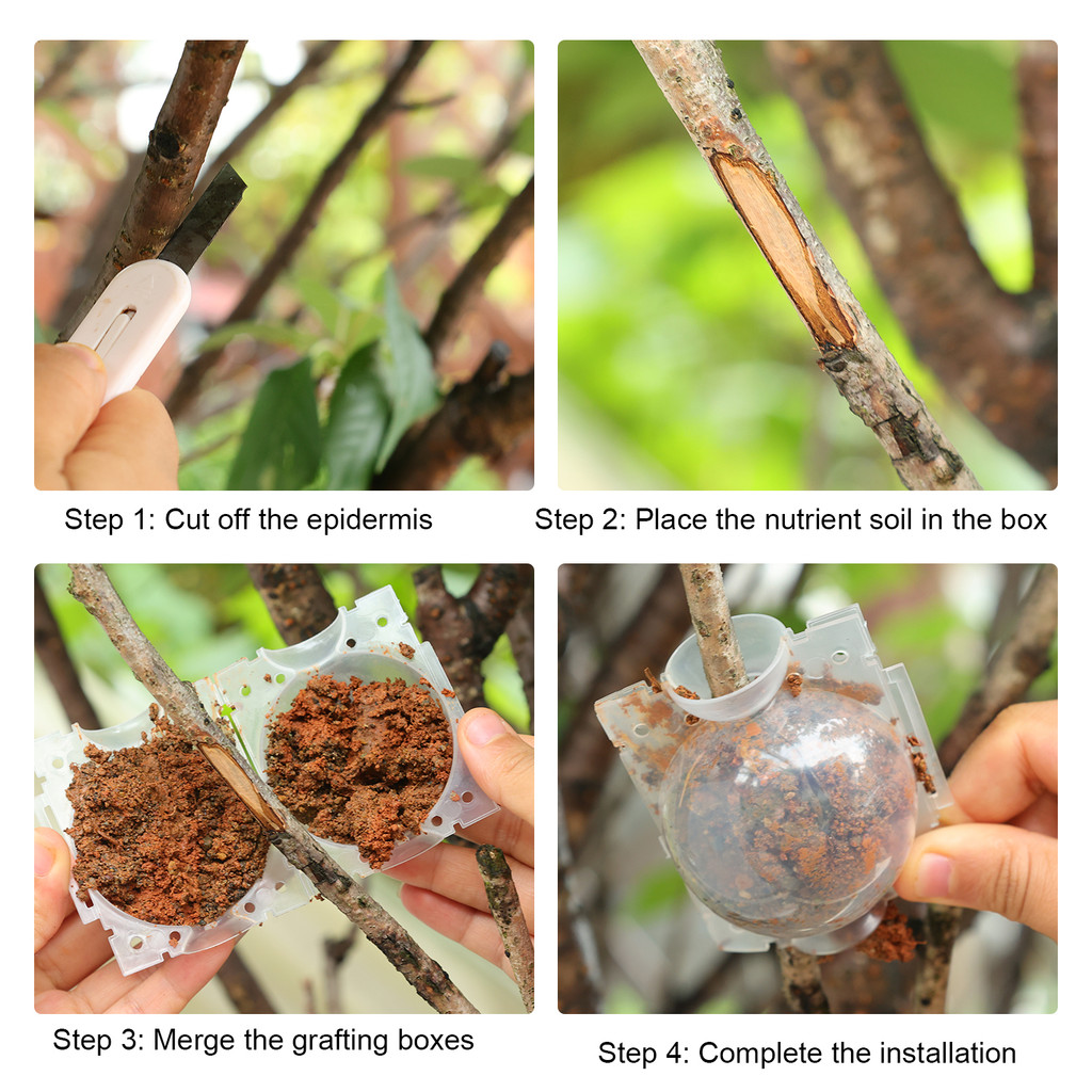 Durable Garden Tree Pressure Strip Propagation Ball - Horticultural ...