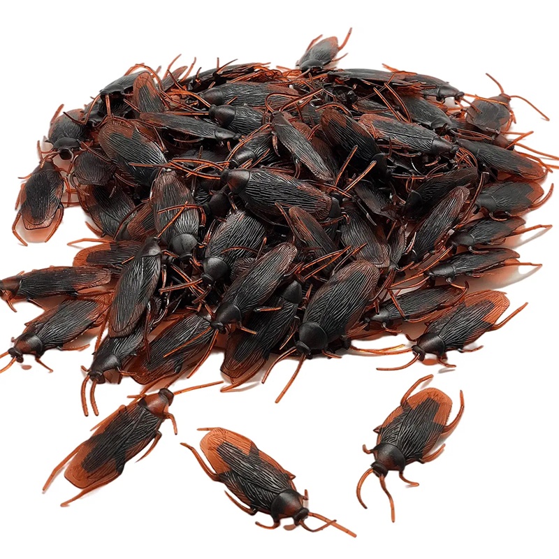50pcs Simulation Realistic Cockroach / Halloween Innocent Play a Prank ...