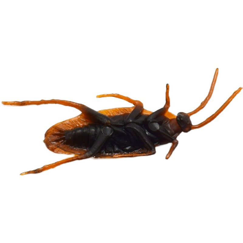 50pcs Simulation Realistic Cockroach / Halloween Innocent Play a Prank ...