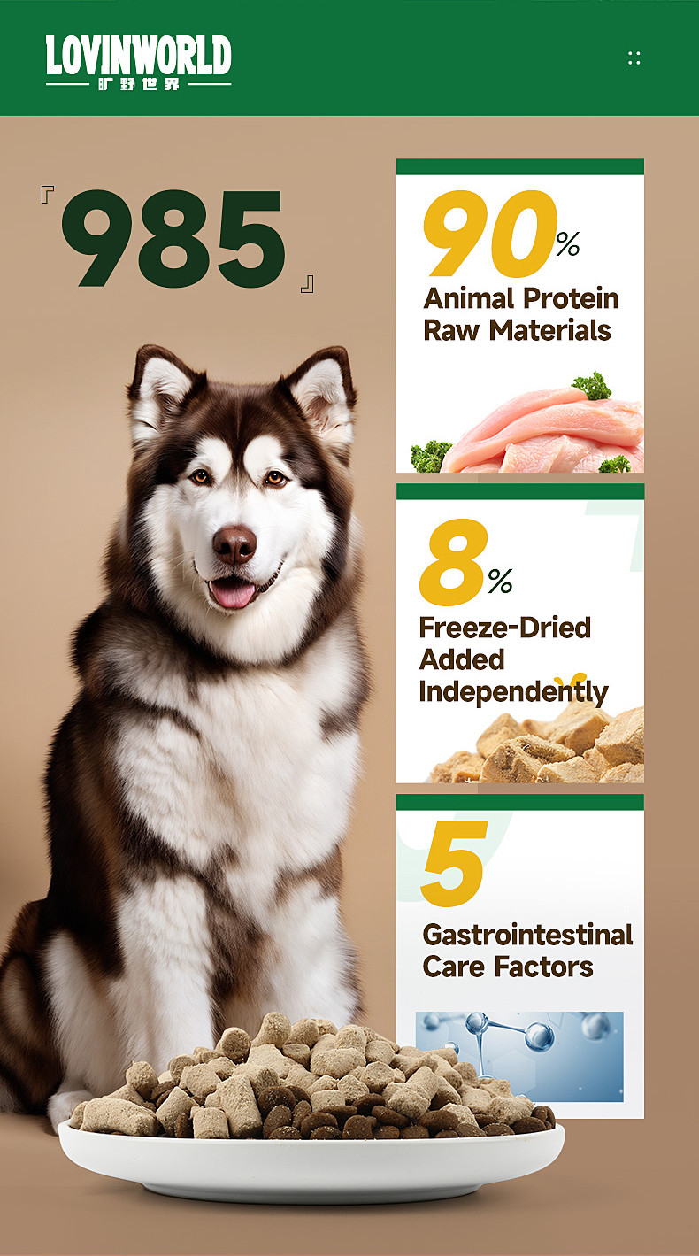 LovinWorld Pet Dog Dry Food High Protein Puppy Complete Food for All ...