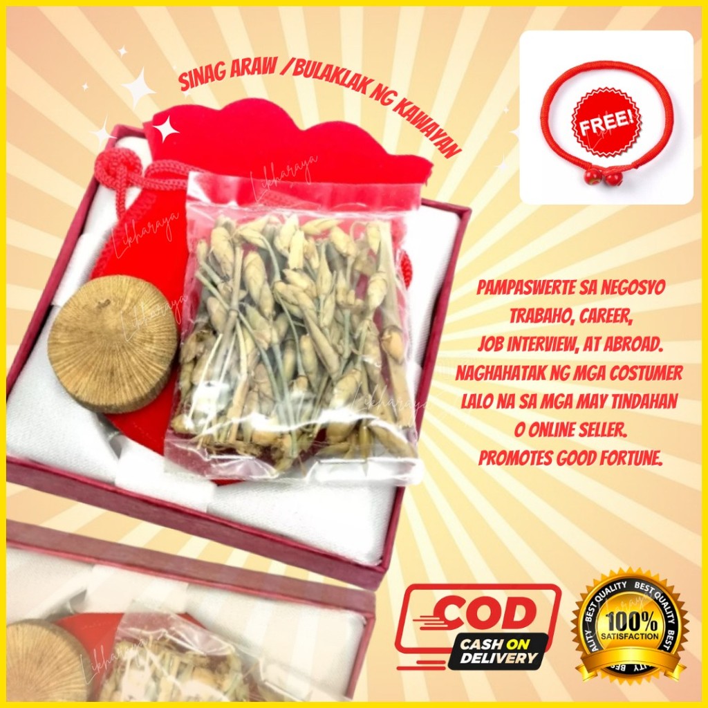 ๑ ☽ AUTHENTIC Bulaklak ng Kawayan I Sinag Araw Pampaswerte sa Negosyo ...