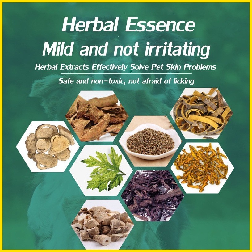 ♀ Dog Ointment For Skin Disease Gamot Sa Galis Ng Aso Healing Wounds ...