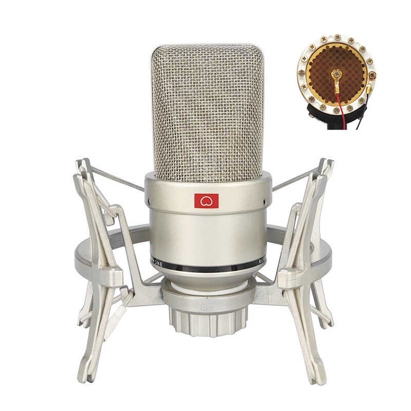 TLM103 Professional Condenser Microphone Studio Para sa PC Laptop ...