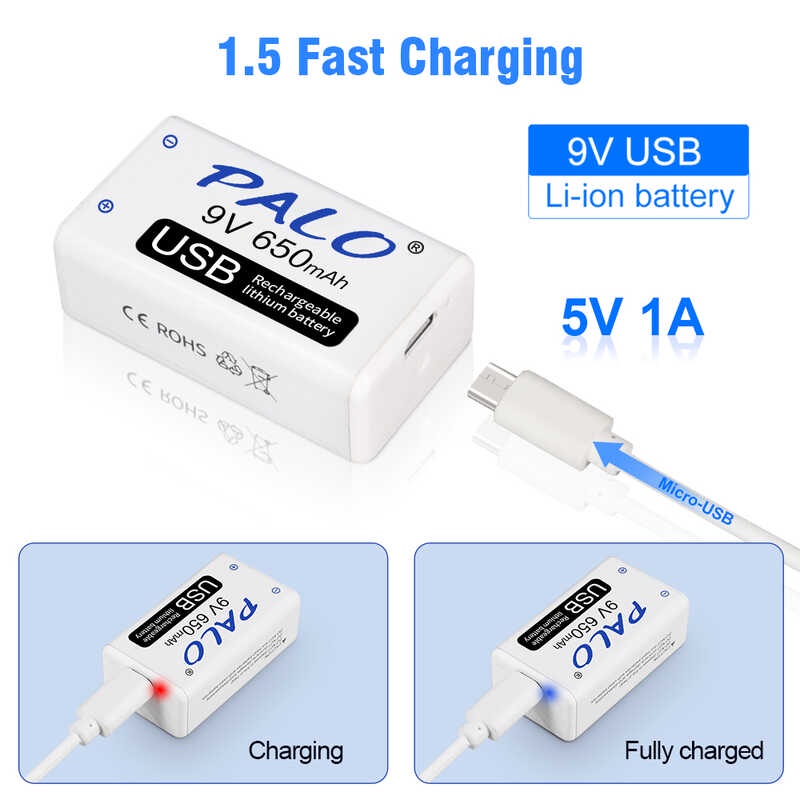 LY PALO Wei RecHArgeAble 9V LitHium BAtter, 600MAH WireleSS MicropHone ...