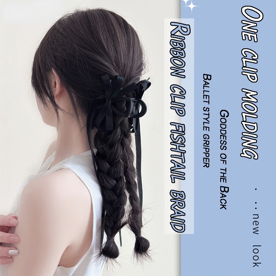 Wig braid hair extensions for women's hair clips, ponytail wigs, fish ...