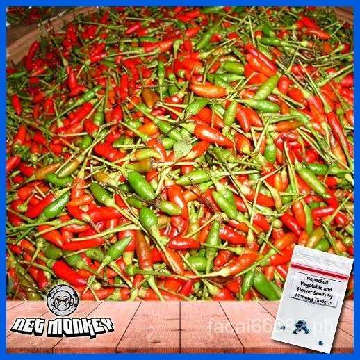 ♣ ∈ § Siling Labuyo Native Seeds | Sili Kulikot Seeds/Shoes/Plants/Gems ...