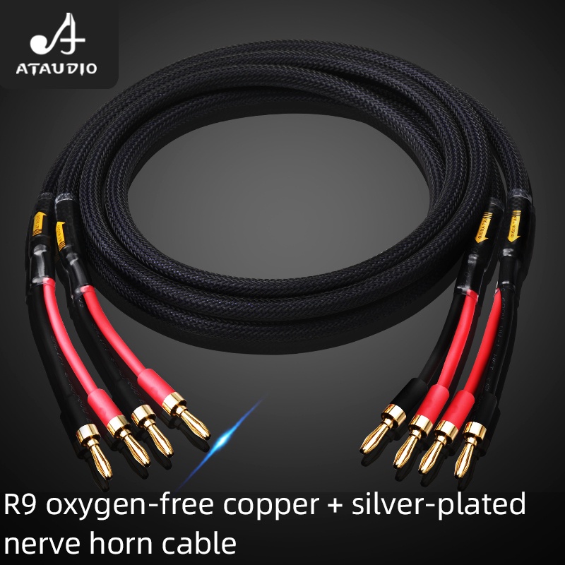 A pair HIFI speaker cable pure copper with silver-plated nerve cable ...
