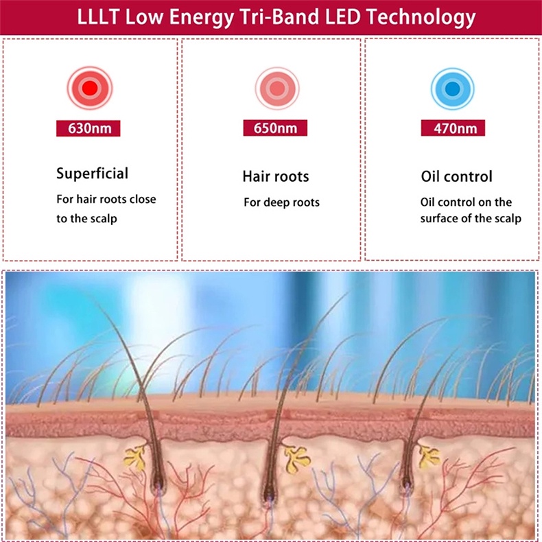 Portable Hair Growth Cap Laser Red Blue Light Hair Care Device ...