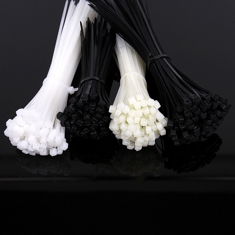 100Pcs Nylon Fixed Cable Ties with Screw Hole - Multipurpose Screw Hole Cable Ties - Self ...