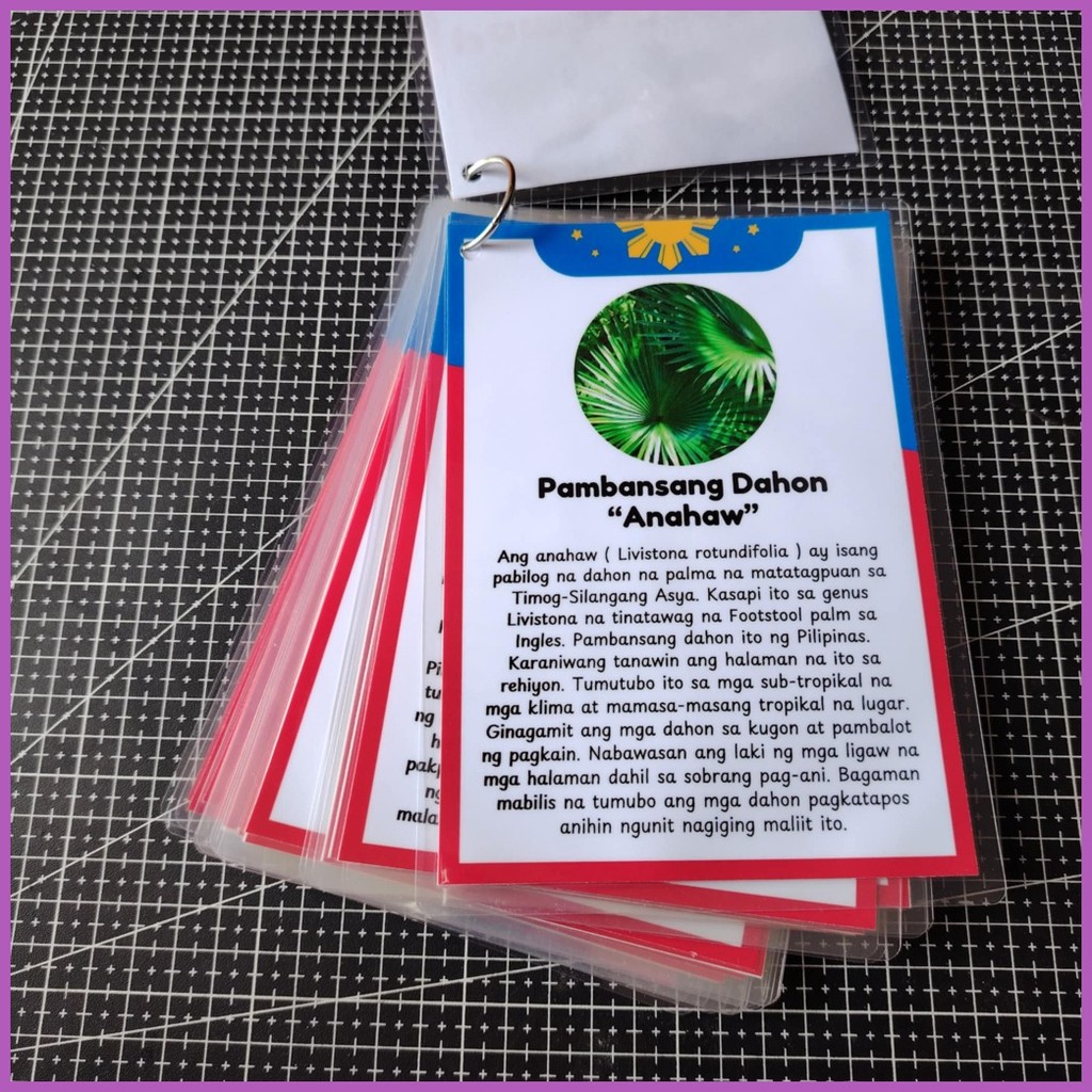 ∈ Mga Pambansang Sagisag ng Pilipinas Laminated Flashcards for ...