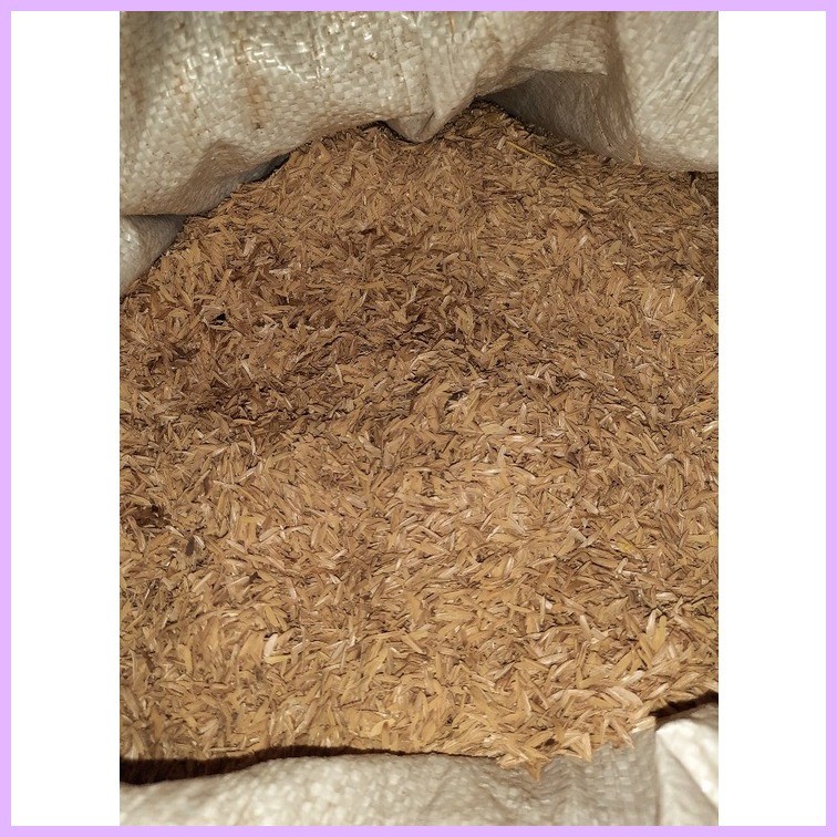 1000g Pure and organic rice hull / rice husk / ipa ng palay / palayan ...